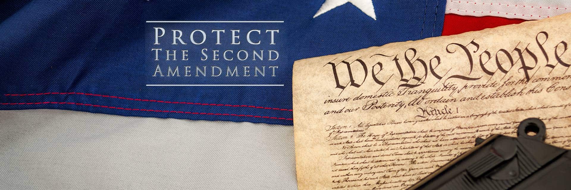 Protect the 2nd Amendment - Tea Party Patriots